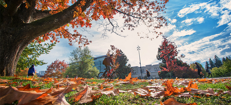 Fall Grad 2015 - UBC Faculty of Medicine