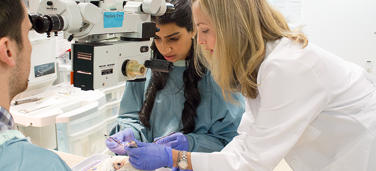Residents as teachers - UBC Faculty of Medicine